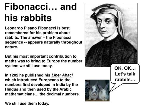 Fibonacci Sequence Rabbits