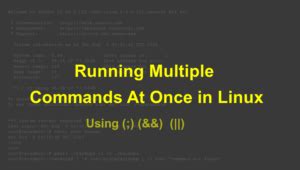 Running Multiple Commands At Once In Linux Tecadmin