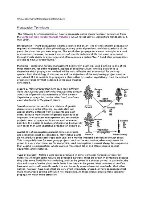 Art Therapy Pdf Propagation Techniques