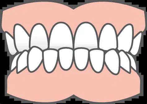 Orthodontia Treatment Augusta Orthodontic Guide To Patient Care