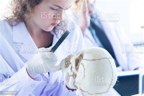 실험실에서 흰색 정장 연구 두개골에 젊은 아름다운 여성 과학자 Stem 주제에 대한 스톡 사진 및 기타 이미지 Stem 주제 건강관리와 의술 과학 Istock