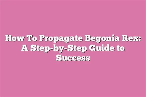 How To Propagate Begonia Rex A Step By Step Guide To Success Flower Pursuits