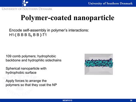 Computational Modeling Of Biophysical Processes In A Cell Ppt