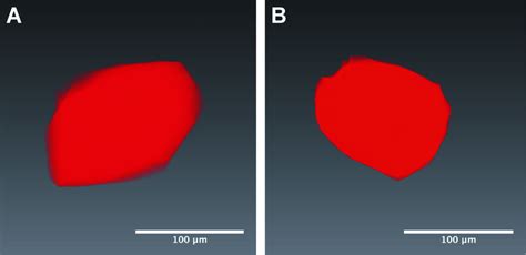 3 The 3 D Reconstruction Of Inclusion Az11 From Two Points Of View Download Scientific
