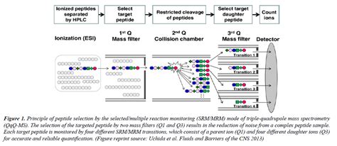 Applications Of Targeted Proteomics And Mass Spectrometry In