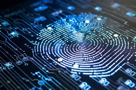 Fingerprint Integrated In A Printed Circuit Releasing Binary Codes Biometric Security Stock