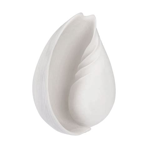 Conch Large Decor Shell Bring The Beach To Your Living Space Noplacelikeinteriors
