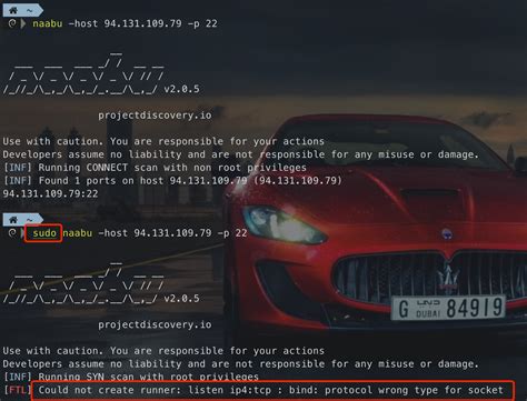 Bug Could Not Create Runner Again Issue Projectdiscovery Naabu GitHub