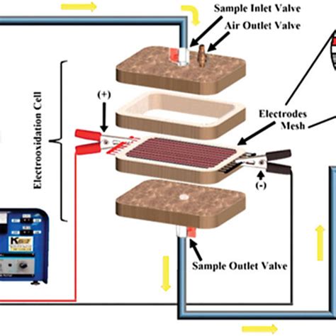 Functional Groups Of Paracetamol Download Scientific Diagram