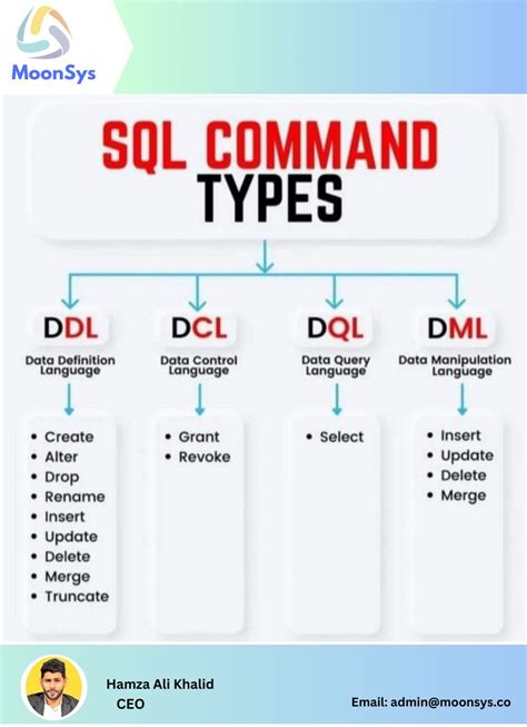 Sql Database Datamanagement Programming Techskills Moonsys Hamza Ali Khalid