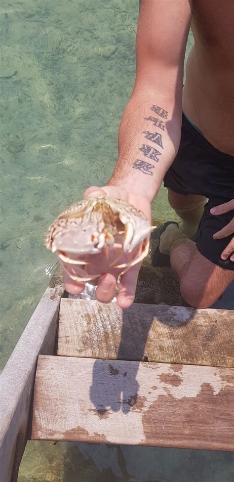 Crab Identification R Crabs