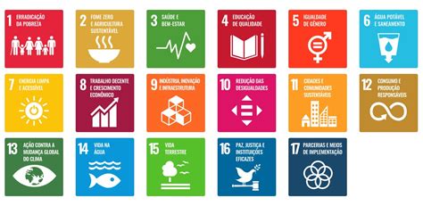 Agenda 2030 Da Onu E Os 17 Objetivos De Desenvolvimento Sustentável