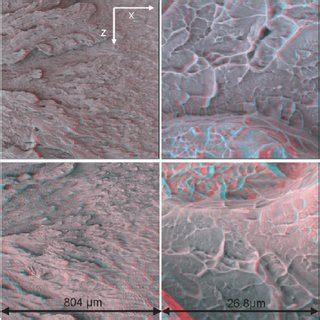 H X On A Log Log Plot Exhibits A Power Law Behaviour With Download Scientific Diagram