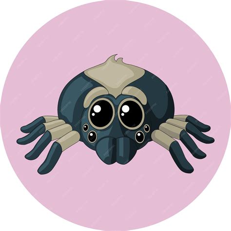 Premium Vector Spider