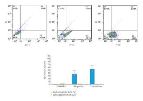 quantifying cell death by labeling mda mb 231 a and mcf 7 b cells