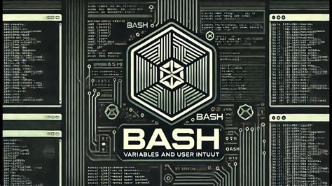 Bash Variables And Command Line Arguments Bash For Absolute Beginners