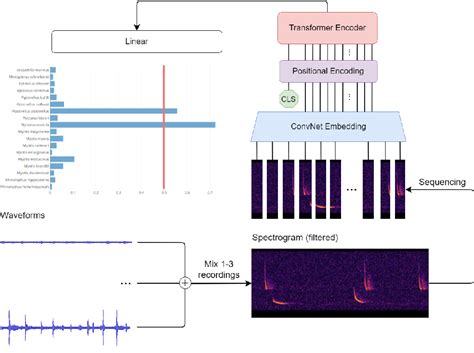 Automatic Bat Call Classification Using Transformer Networks Paper And