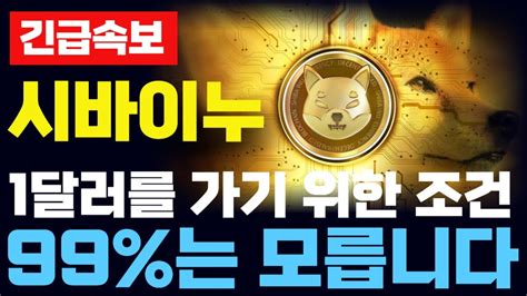 시바이누 코인 1달러를 가려면 이 것만 보세요 여러분들 계좌가 달라질겁니다 Youtube