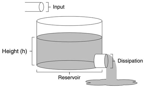 The Reservoir Model Of Psychological Capacity Intraindividual
