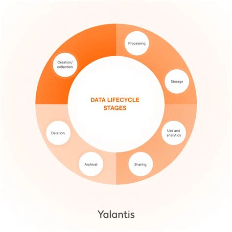 Data Lifecycle Management And BI Two Aspects Of A Successful Business