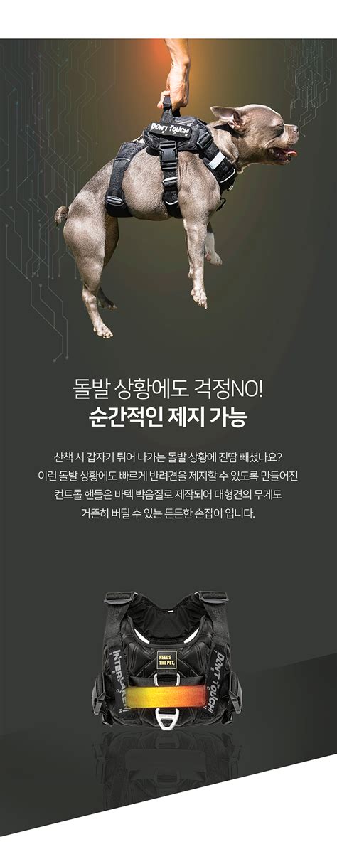 인터라켄 테크하네스 주식회사 이더라