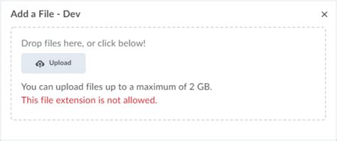 Restricted File Extensions Brightspace