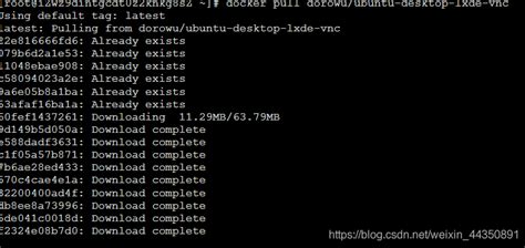 在docker容器中运行ubuntu桌面版，并通过vnc连接 ubuntu vnc密码怎么查看 csdn博客