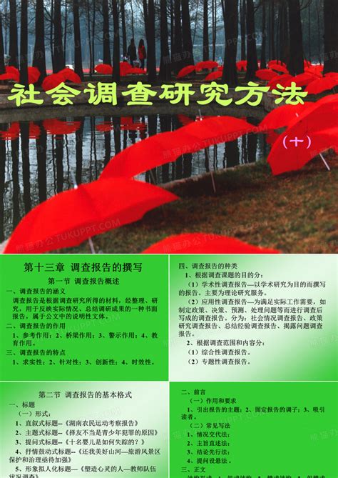 社会调查报告的撰写社会调查研究方法课件PPT模板下载 编号lvavnbeg 熊猫办公