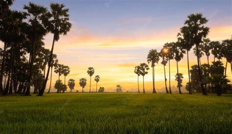 디지털포렌식 악성코드 분석 침해사고 분석 대응 자격증 실무 과정