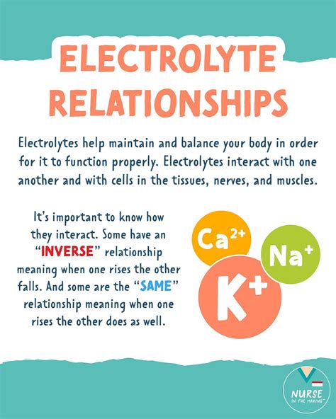Electrolytes In The Body