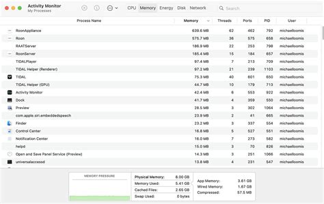Roon Increasing Memory Usage Eventual System Lock Up Support Roon