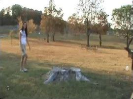 What Is A Tree Stump Learn English Join The Conversation