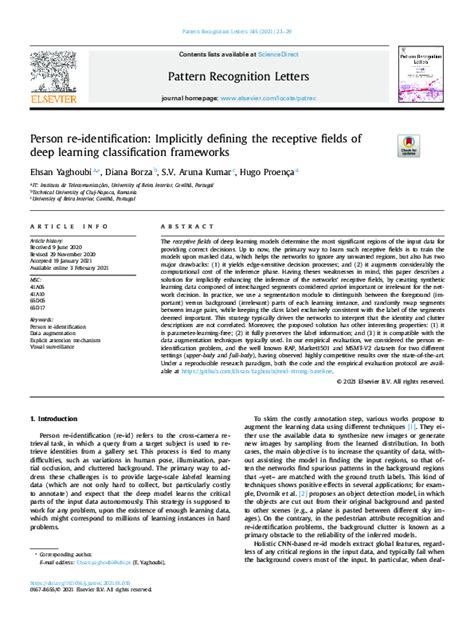 pdf person re identification implicitly defining the receptive