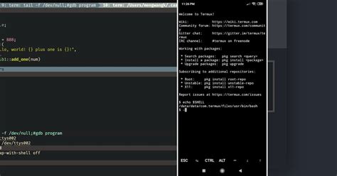 List Neovim Hacking And Ricing Curated By Shane Isley Medium