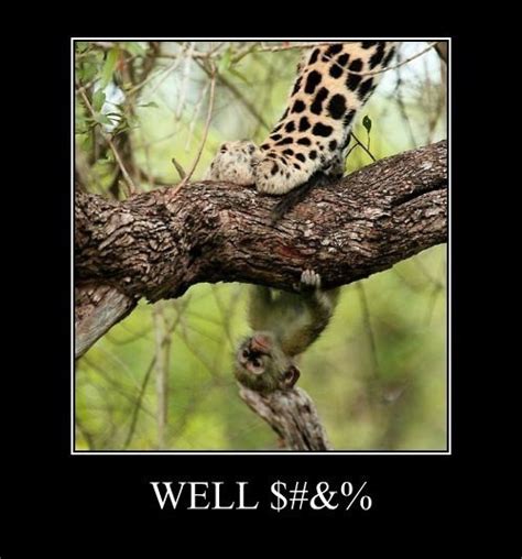 Demotivational Poster Template