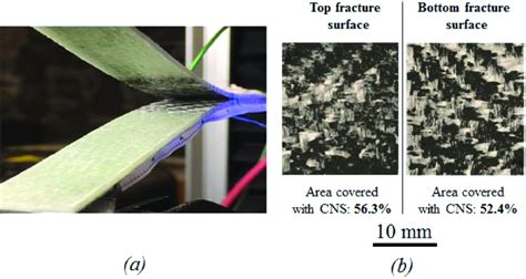 Cohesive Fracture In Dcb Sample A Image Processing For Calculating