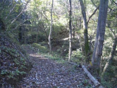 にじいろカルテロケ地撮影場所どこ虹ノ村は山梨と相模原市藤野
