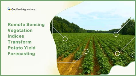 Remote Sensing Vegetation Indices Transform Potato Yield Forecasting Geopard Agriculture