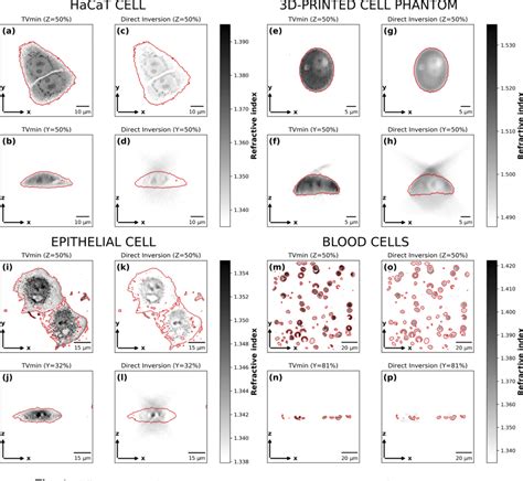 Figure 1 From Optical Diffraction Tomography With Finite Object Support For The Minimization Of