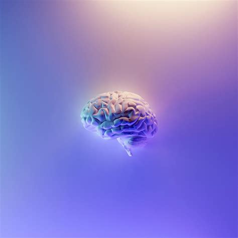 Figshare Brain Tumor Dataset Kaggle