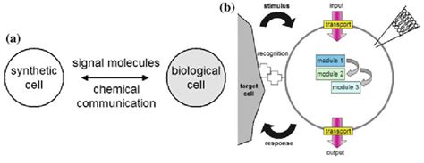 A Is It Possible To Create A Chemical Communication Protocol For