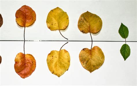otavio santana on linkedin the lifecycle objects on cdi [video] dzone