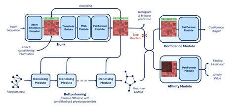 Boltz 2 The New Benchmark For Ai Driven Binding Affinity Prediction In