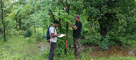 A Conservationists Guide To Wildlife Tracking Wildlife Sos