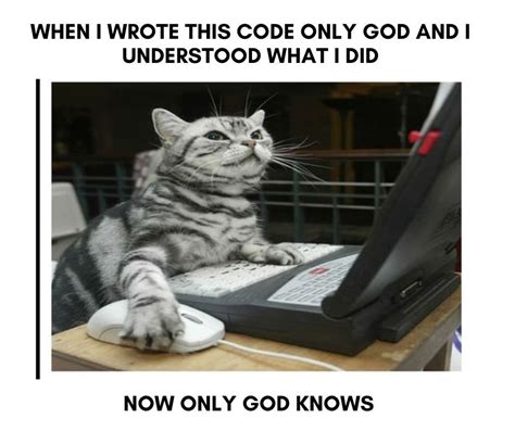 Software Developer On Linkedin Memes Memesdaily Memeoftheday Programmingmemes
