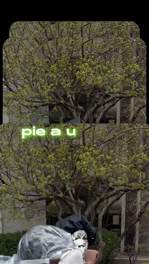 Umoja 🏾 Umoja Bu • Instagram Photos And Videos