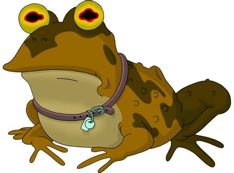 Anyone Know What This Frog Is Called R Denvercirclejerk