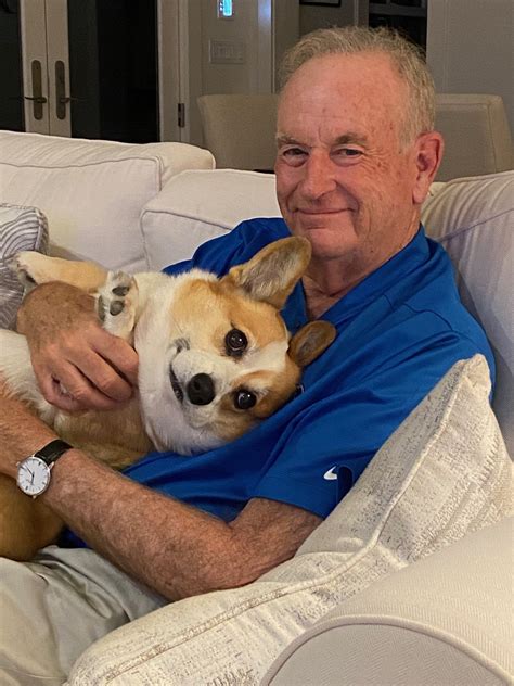 Bill Oreilly Happening On