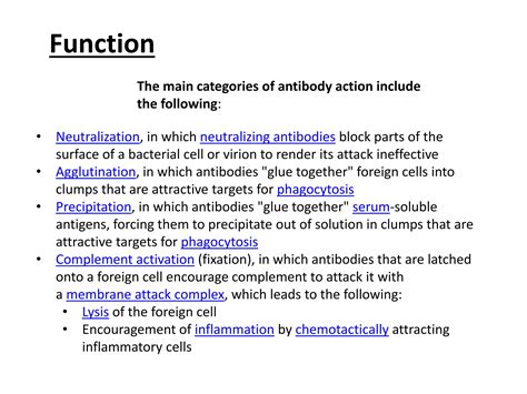 What Is An Antibodyimmunoglobulins Classes And Sub Classes Ppt