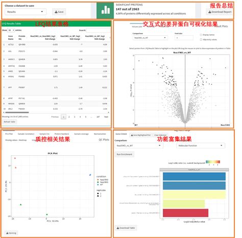 组学数据分析实操系列 （二）一键实现maxquant非标定量蛋白质组学搜库结果的生信分析 知乎